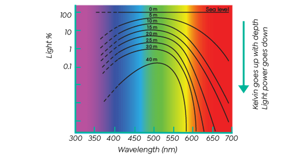 Learn About Lighting | PARwise