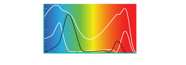 Learn About Lighting | PARwise